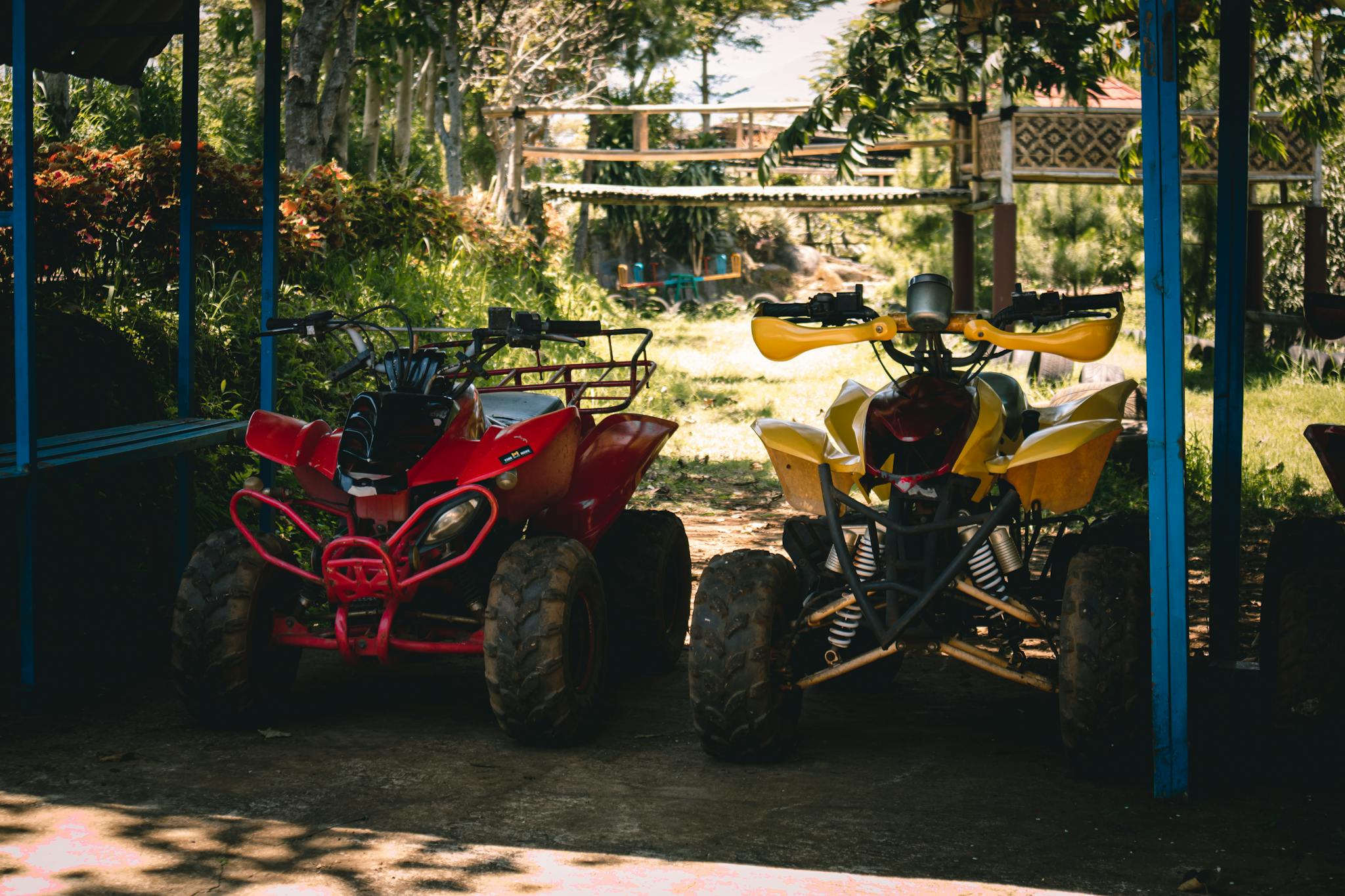 5 Quad Bike Security Ideas to Help Protect Your ATV from Theft | Bruce ...